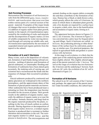 Fundamentals of Soil Science | PDF