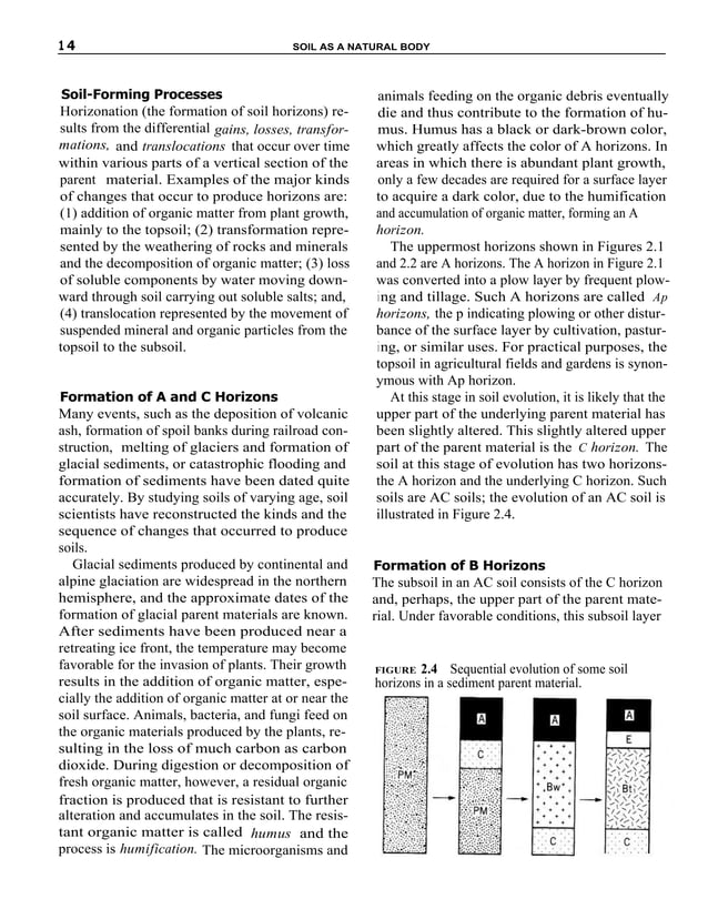 Fundamentals of Soil Science | PDF