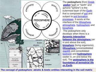 Fundamentals of soil science | PPT | Gardening | Home & Garden