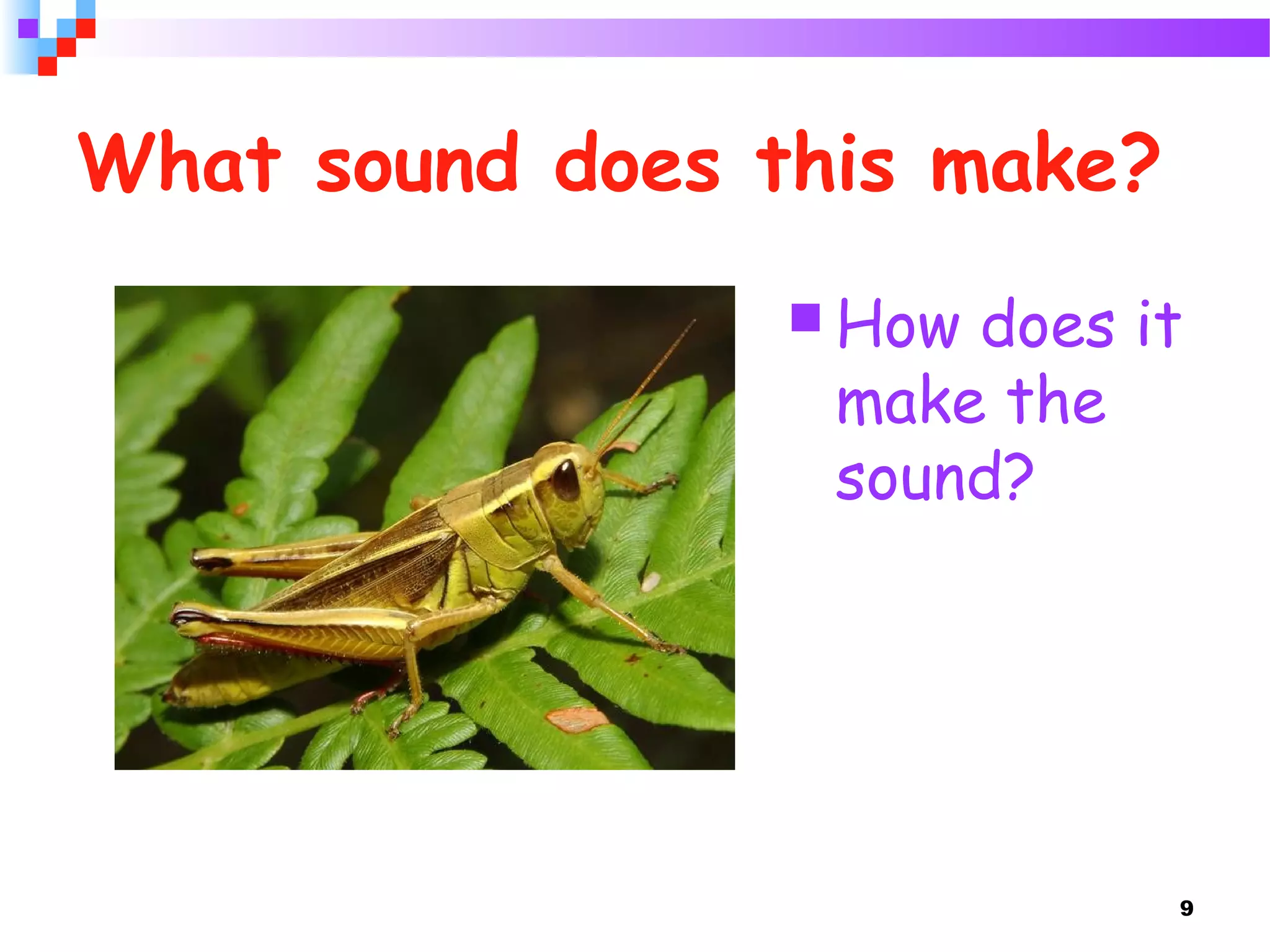 Fundamentals of sound | PPT | Technology & Computing