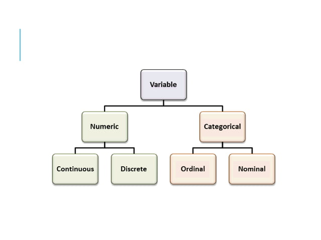 Fundamentals of Statistics.ppt | Internet | Computing