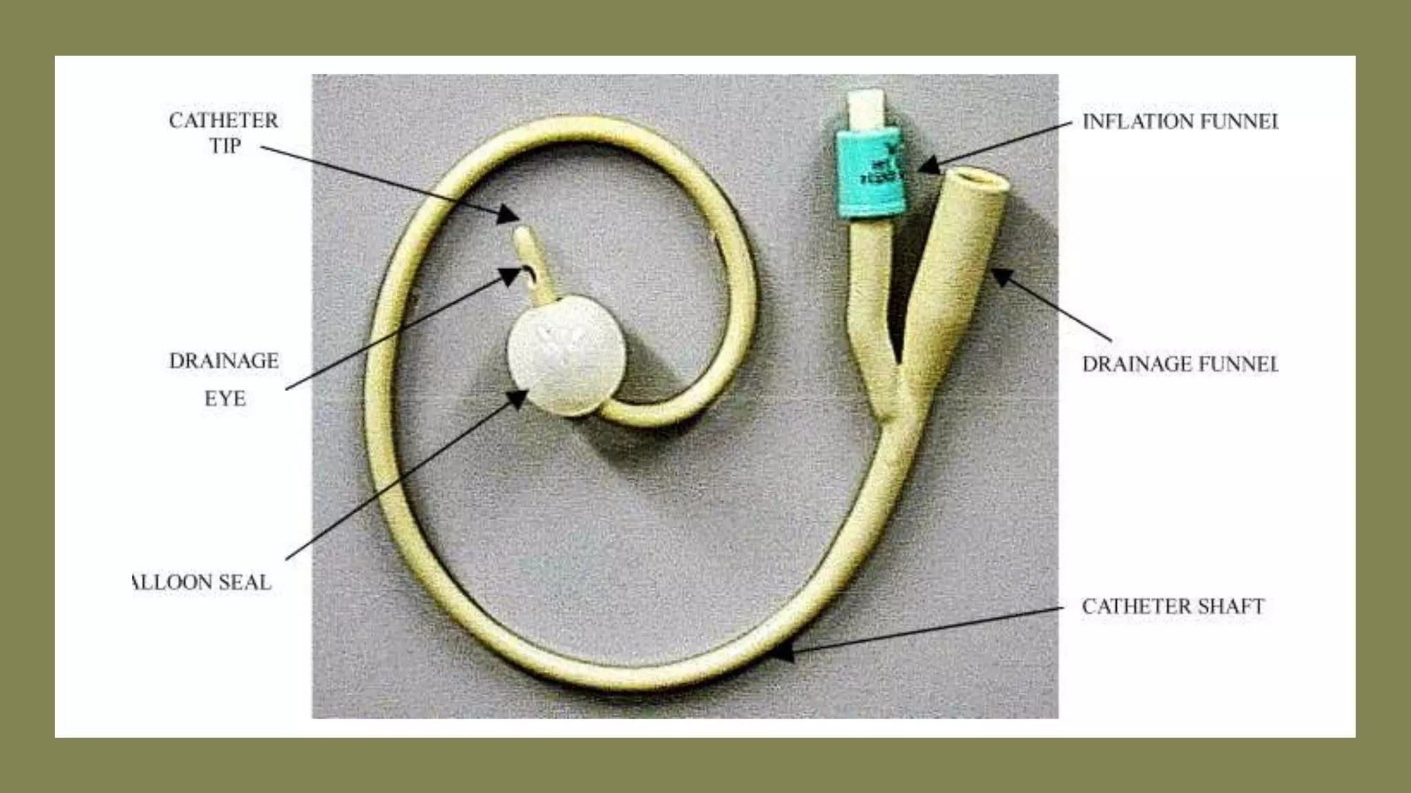 Fundamentals of urinary tract drainage | PPTX