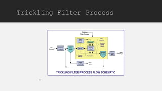 Fundamentals of Wastewater Treatment Plant | PPTX