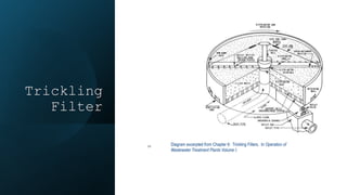 Fundamentals of Wastewater Treatment Plant | PPTX