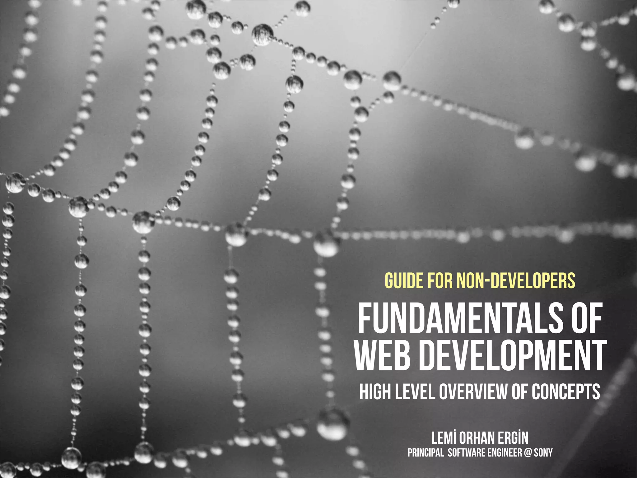 Fundamentals of Web Development For Non-Developers | PDF