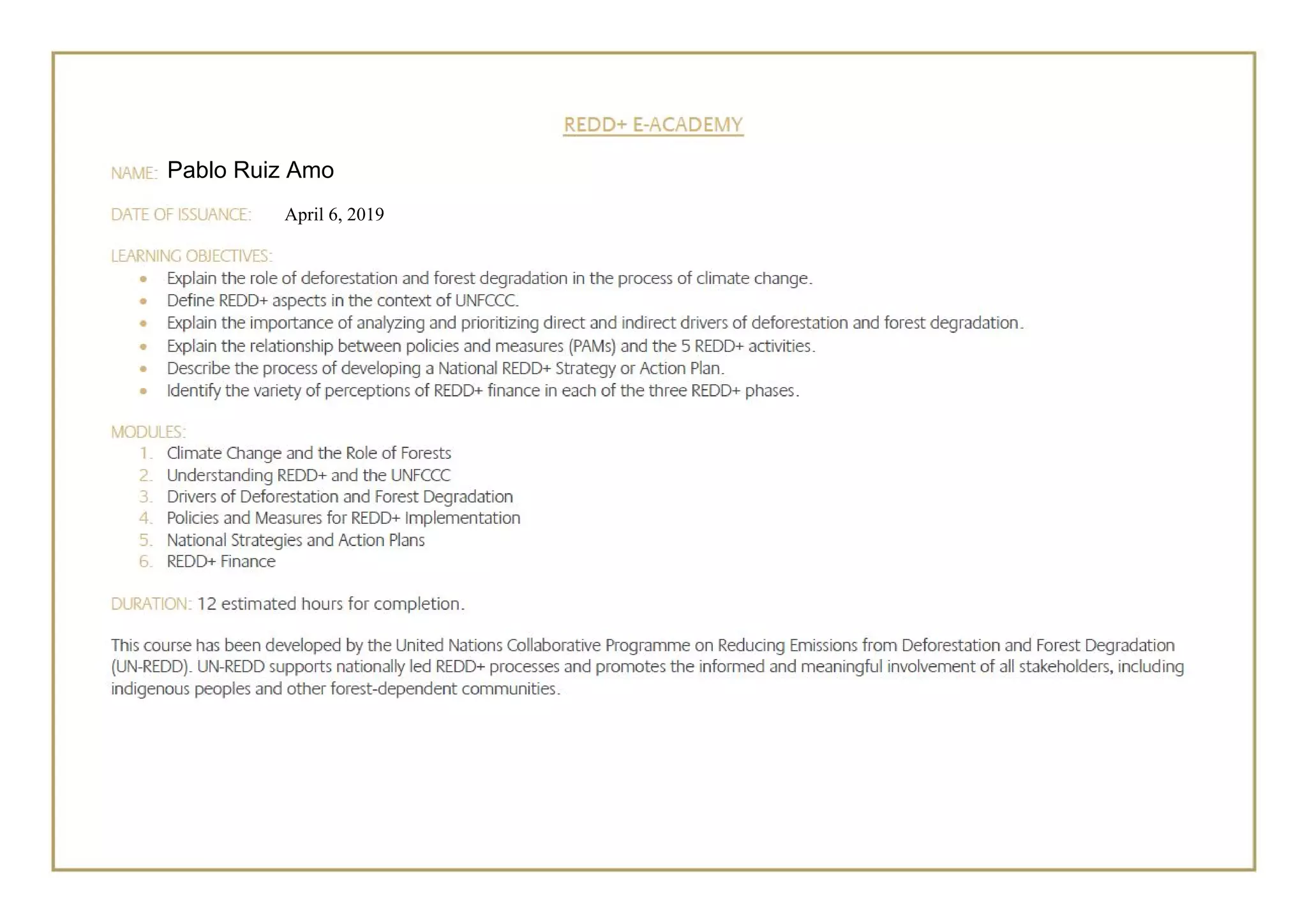 Fundamentals on REDD+ - UN - Pablo Ruiz Amo | PPT