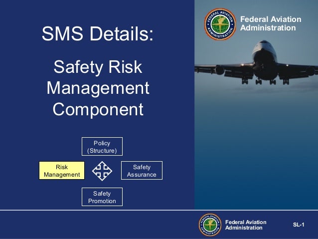 Faa Risk Management Process