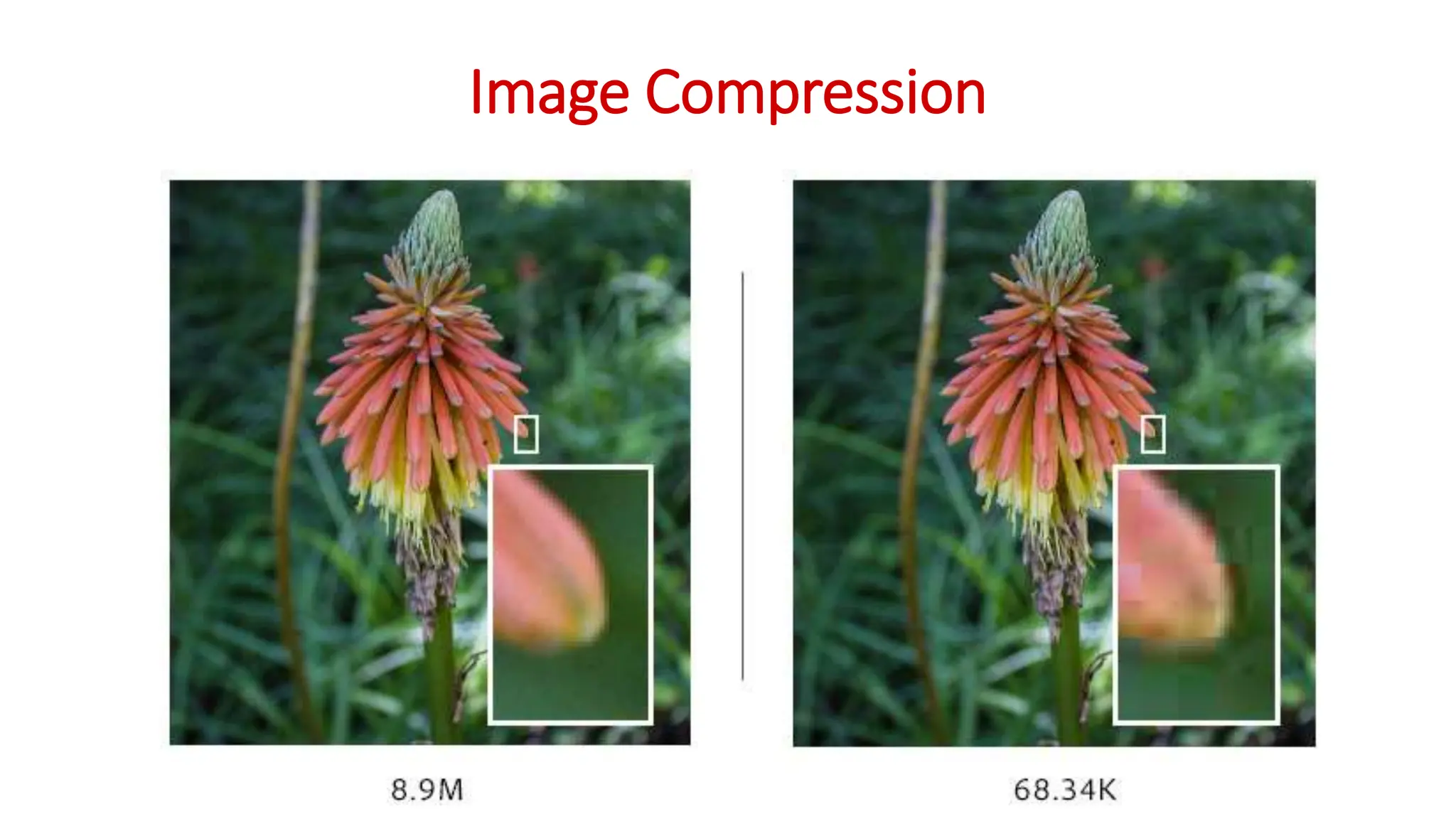 Fundamental Steps in Digital Image Processing.pptx