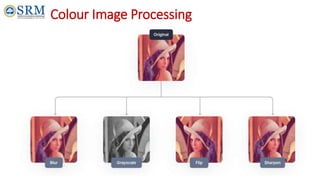 Fundamental Steps in Digital Image Processing.pptx