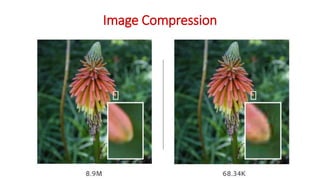 Fundamental Steps in Digital Image Processing.pptx