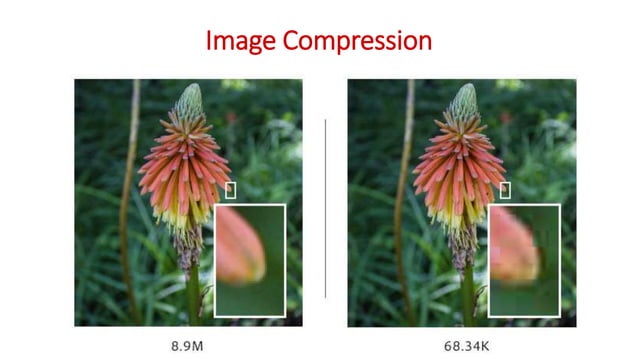 Fundamental Steps in Digital Image Processing.pptx