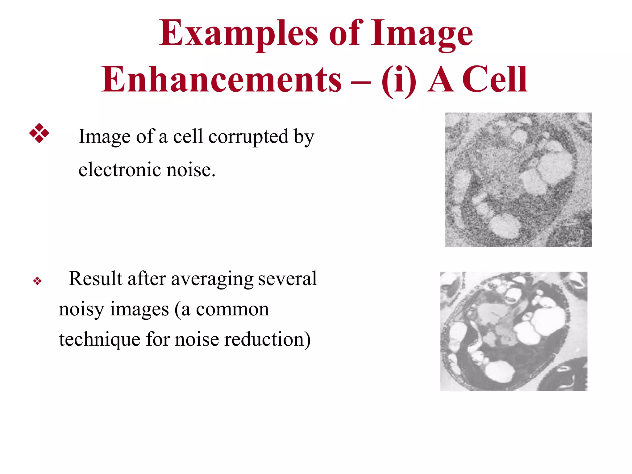 Fundamental steps in image processing | PPTX