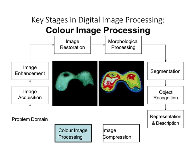 Fundamental steps in image processing | PPTX | Photo Editing Software ...