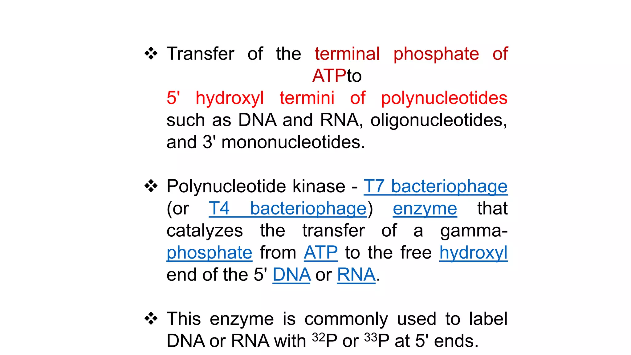 Fundamental techniques of gene manipulation | PPTX