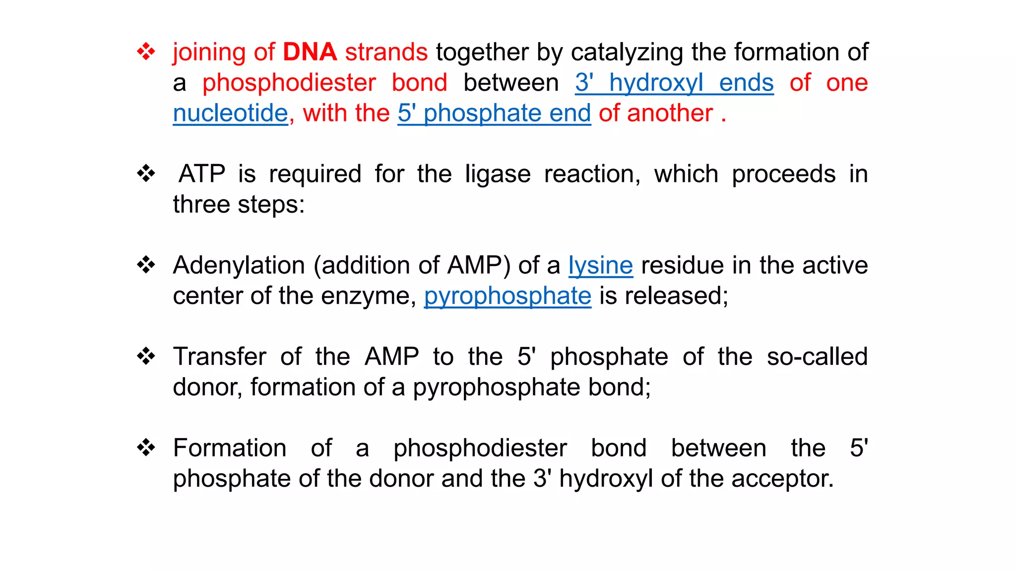 Fundamental techniques of gene manipulation | PPTX