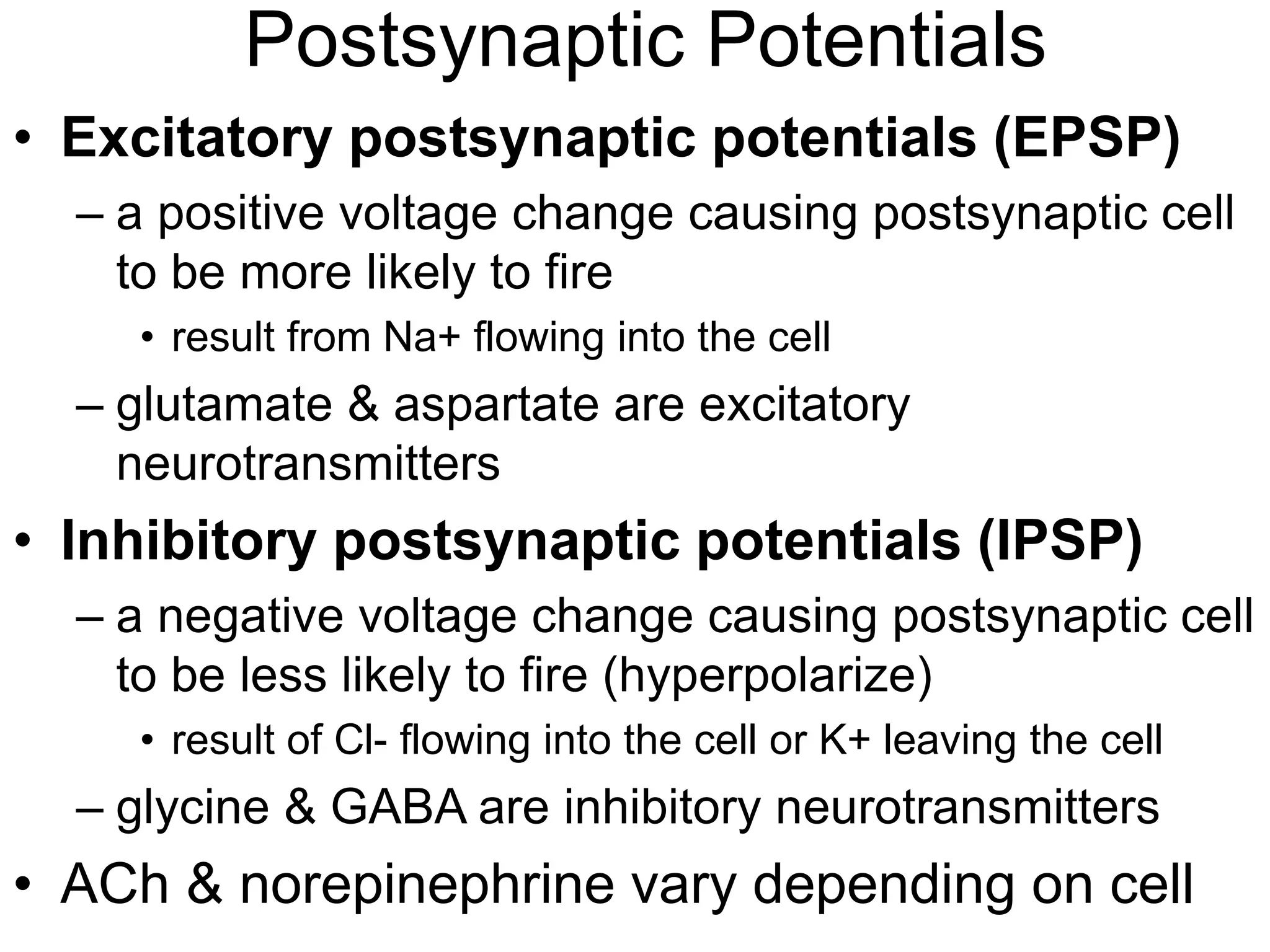 Fundamental Types of Neurons.ppt