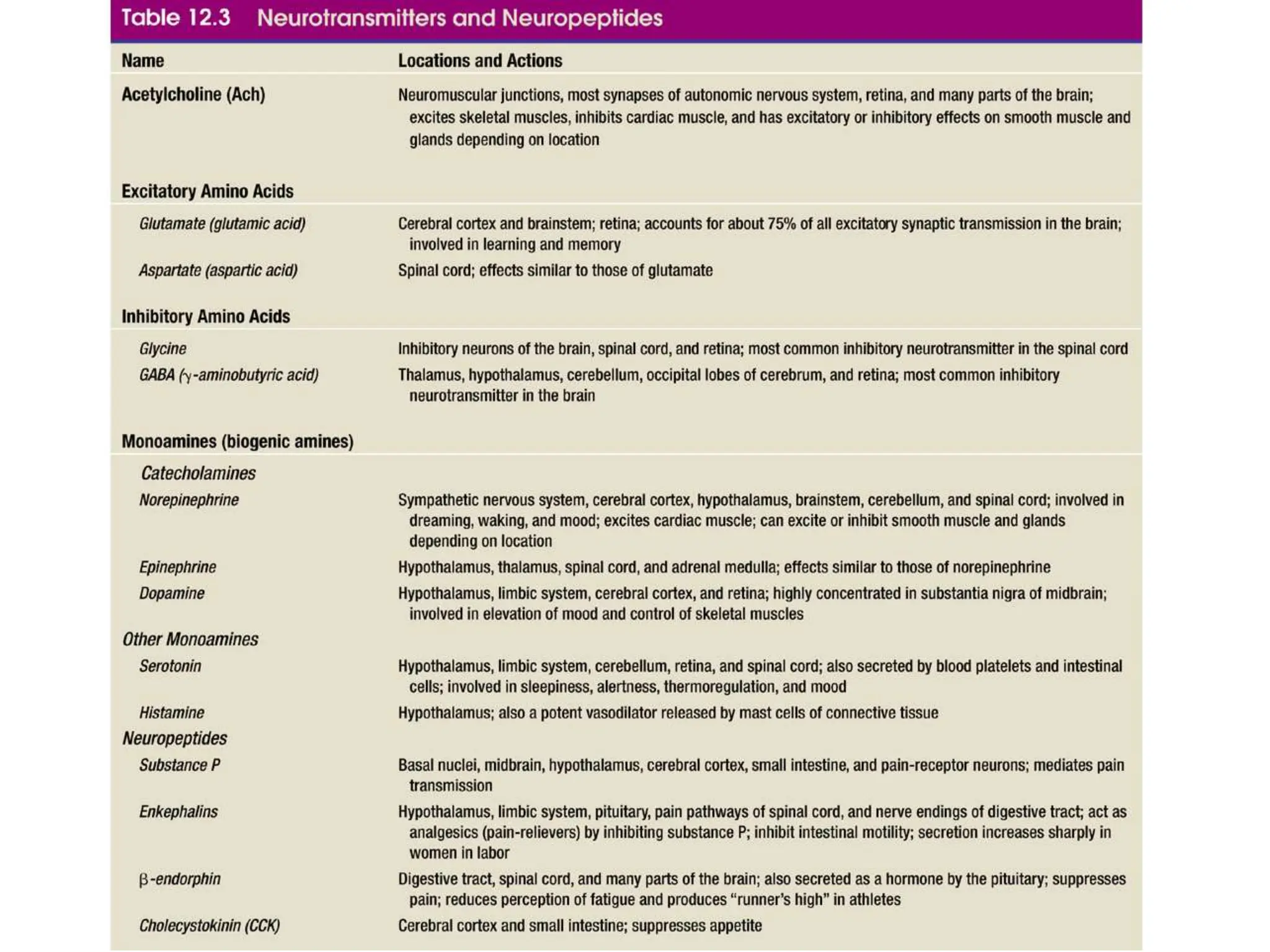 Fundamental Types of Neurons.ppt
