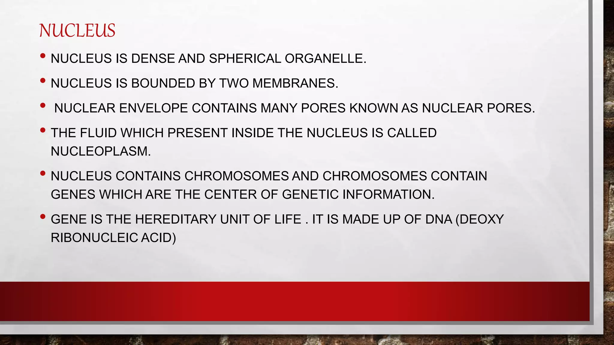 Fundamental unit of life | PPTX
