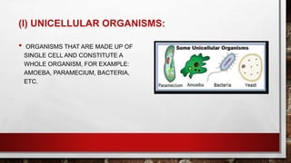 Fundamental unit of life | PPTX