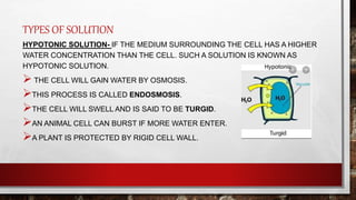 Fundamental unit of life | PPTX
