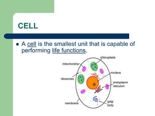 Fundamental Unit of life.ppt