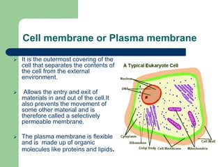 Fundamental Unit of life.ppt