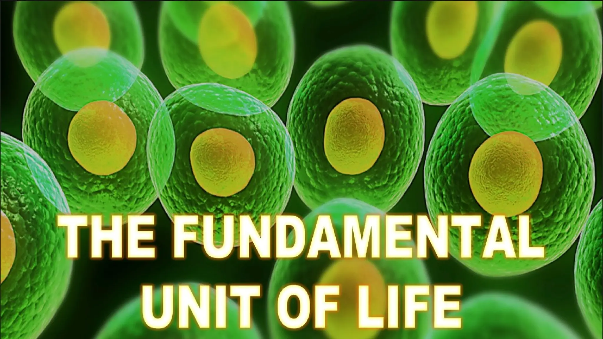 FUNDAMENTAL UNIT OF LIFE GRADE 9 .pptx