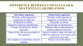 Fundamental Unit of Life-Cell-I | PPT | Free Download