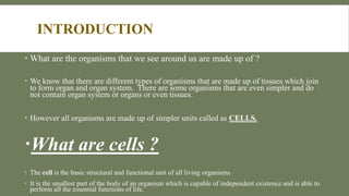 Fundamental Unit of Life-Cell-I | PPTX