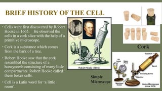 Fundamental Unit of Life-Cell-I | PPT