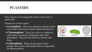Fundamental Unit of Life-Cell- II | PPT | Free Download