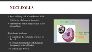 Fundamental Unit of Life-Cell- II | PPT