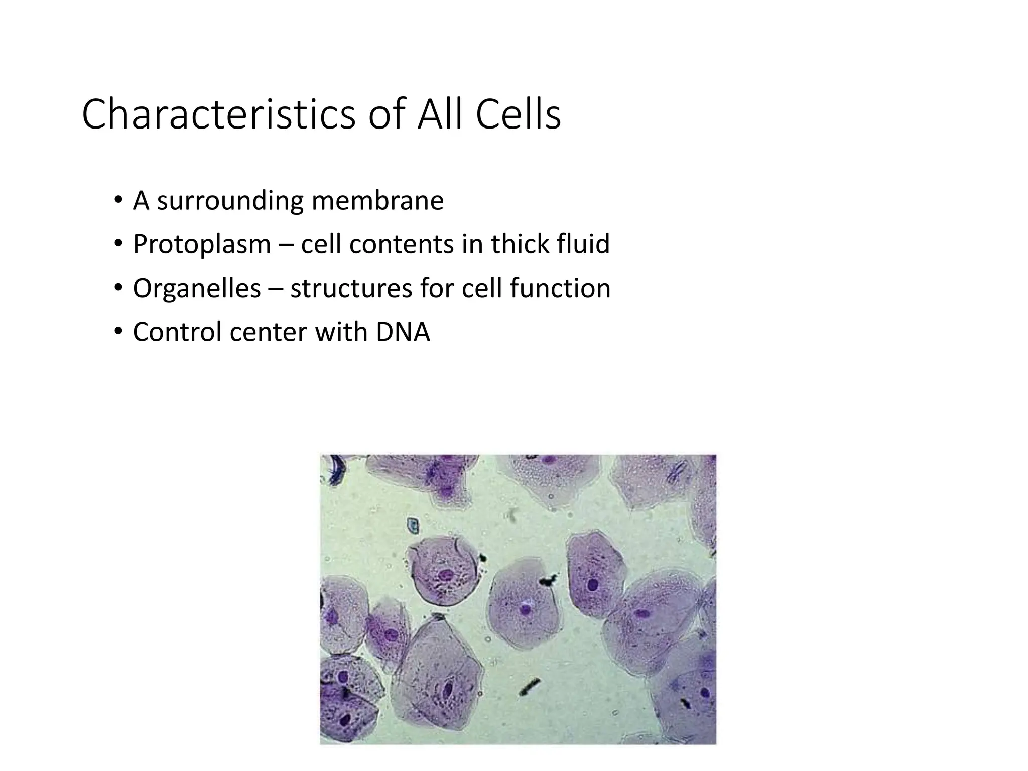 cellFUNDAMENTAL UNIT OF LIFE CLASS9 .ppt