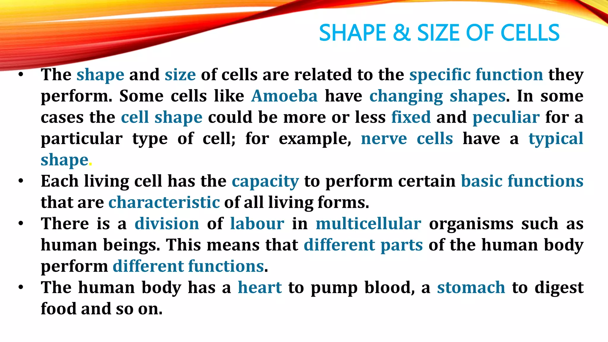 FUNDAMENTAL UNIT OF LIFE PART 1.pptx | Biological Sciences | Science