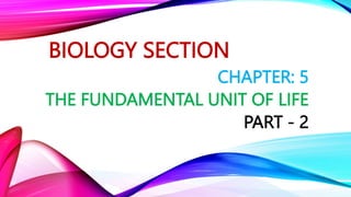 FUNDAMENTAL UNIT OF LIFE PART 2.pptx