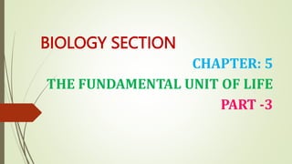 FUNDAMENTAL UNIT OF LIFE PART 3.pptx