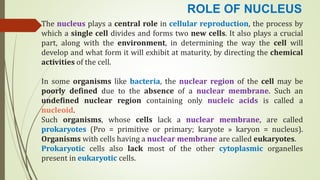 FUNDAMENTAL UNIT OF LIFE PART 3.pptx