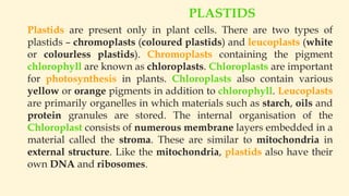 FUNDAMENTAL UNIT OF LIFE PART 4.pptx
