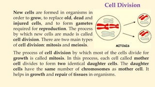 FUNDAMENTAL UNIT OF LIFE PART 4.pptx