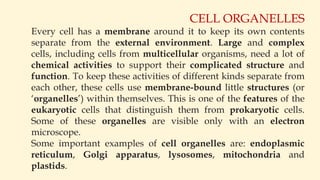 FUNDAMENTAL UNIT OF LIFE PART 4.pptx