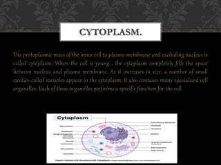 Fundamental unit of life ppt | PPT