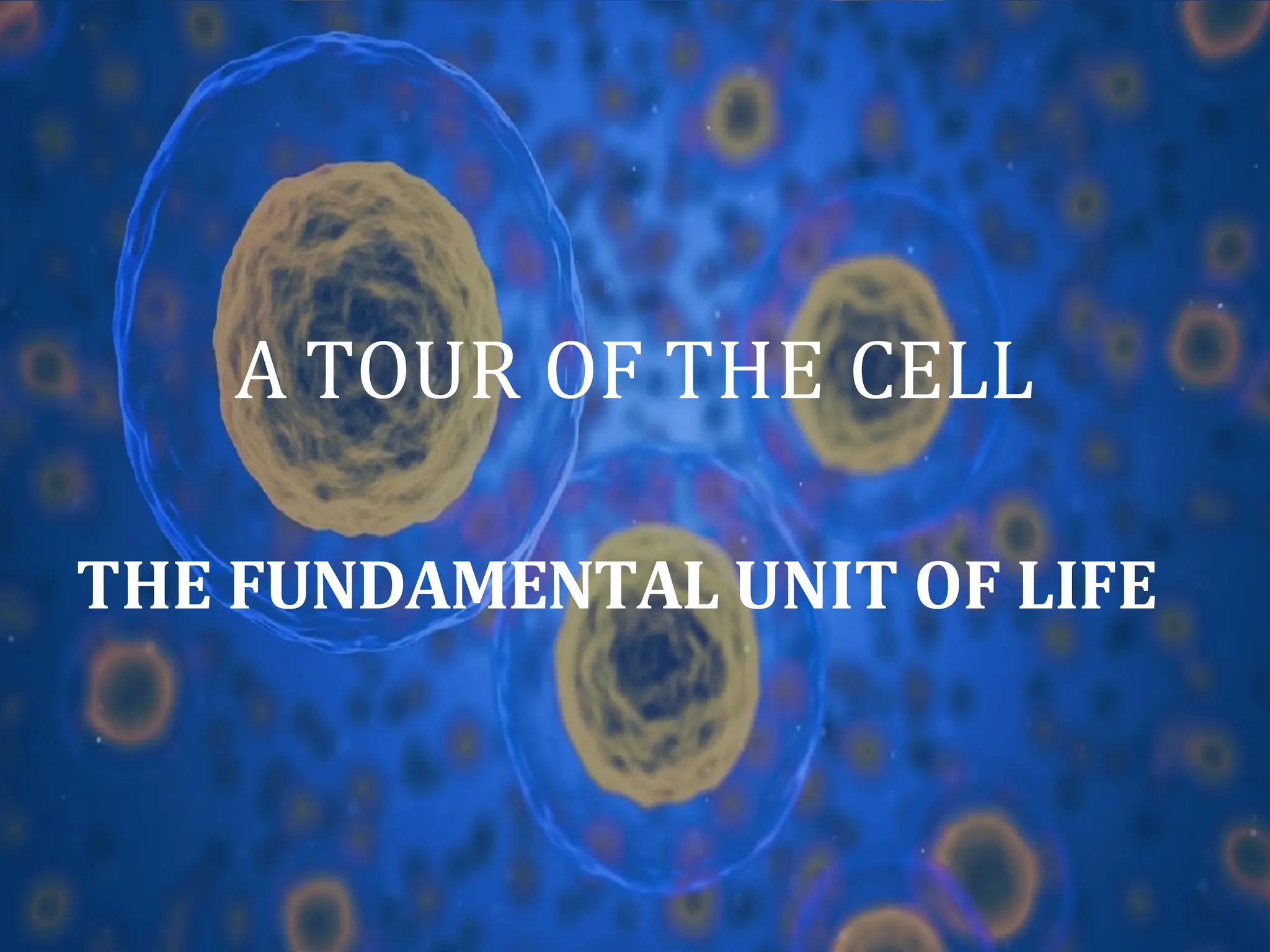 Fundamental unit of life- Cell, Cell organelles and their role | PDF