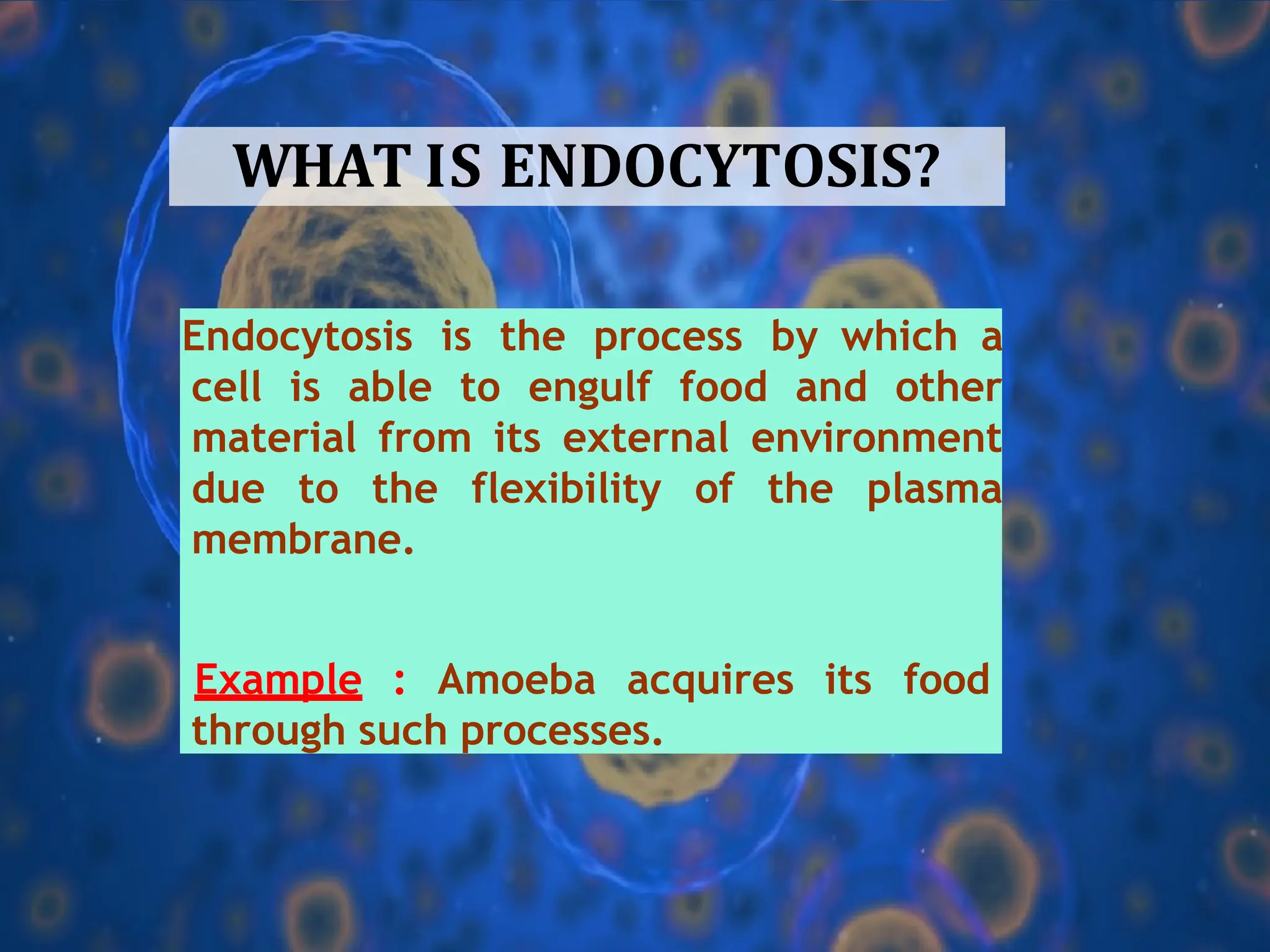 Fundamental unit of life- Cell, Cell organelles and their role | PDF