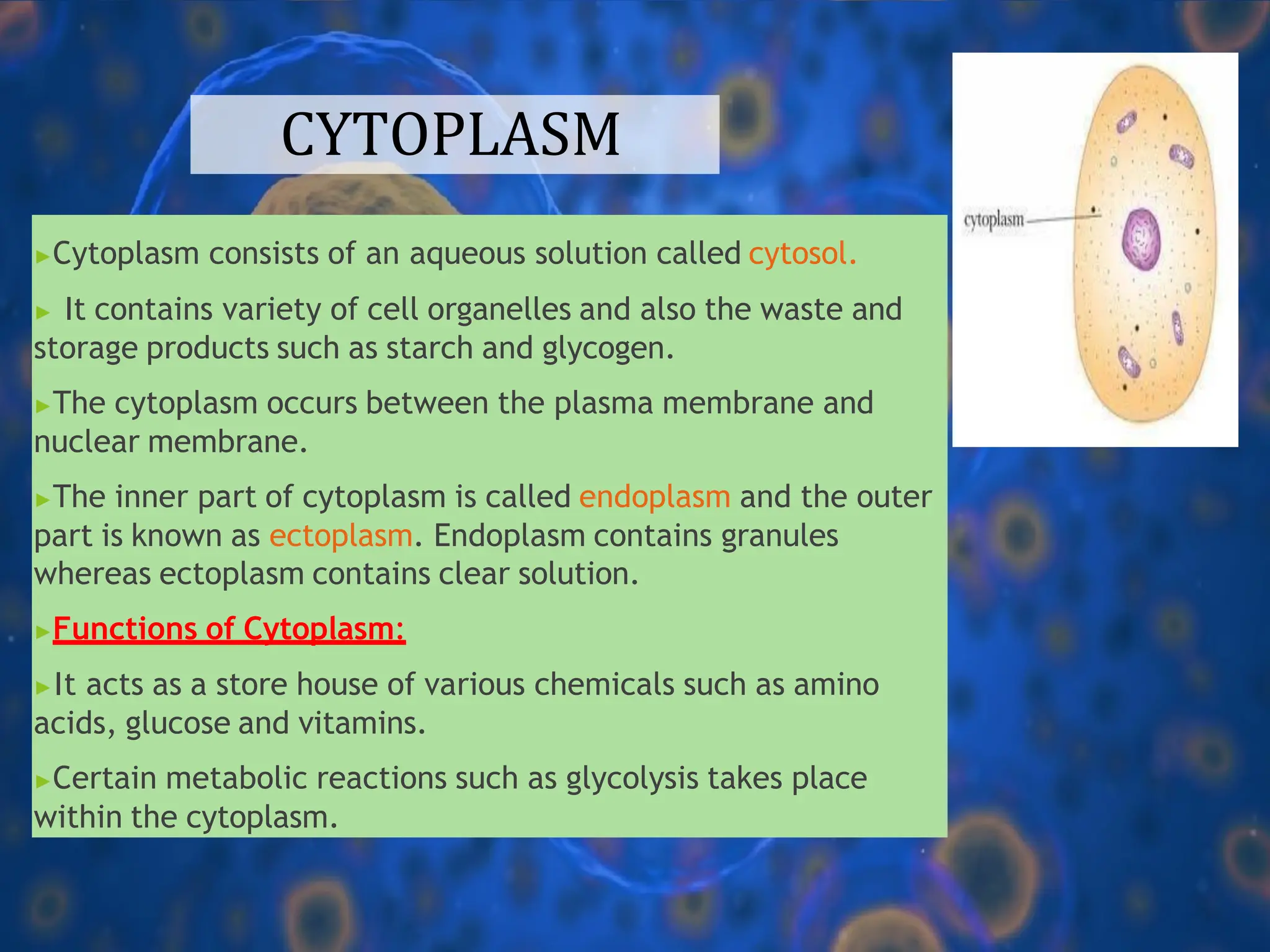 Fundamental unit of life- Cell, Cell organelles and their role | PDF