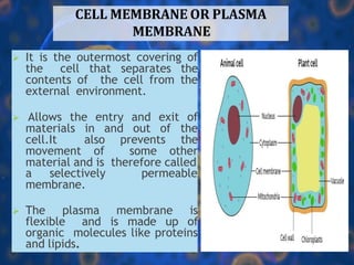 Fundamental unit of life- Cell, Cell organelles and their role | PDF