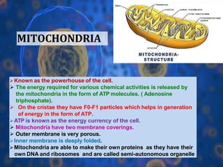 Fundamental unit of life- Cell, Cell organelles and their role | PDF