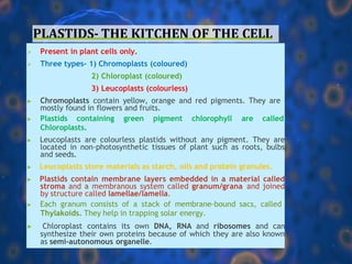 Fundamental unit of life- Cell, Cell organelles and their role | PDF