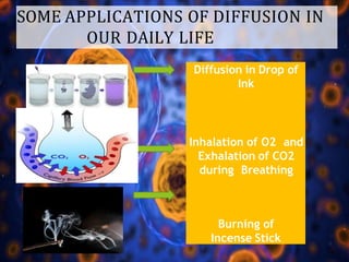 Fundamental unit of life- Cell, Cell organelles and their role | PDF