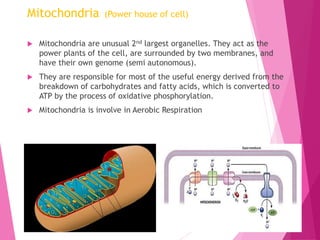 Fundamental Units of Life. ppt | PPTX