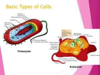 Fundamental Units of Life. ppt | PPT